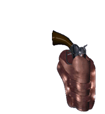 Gifs revolvers
